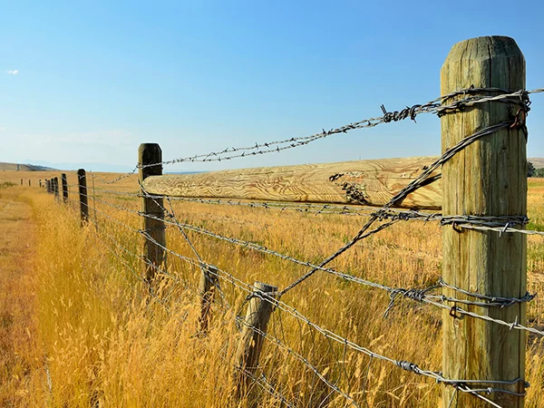 Barbed & Razor Security Accessories for High-Security Fencing